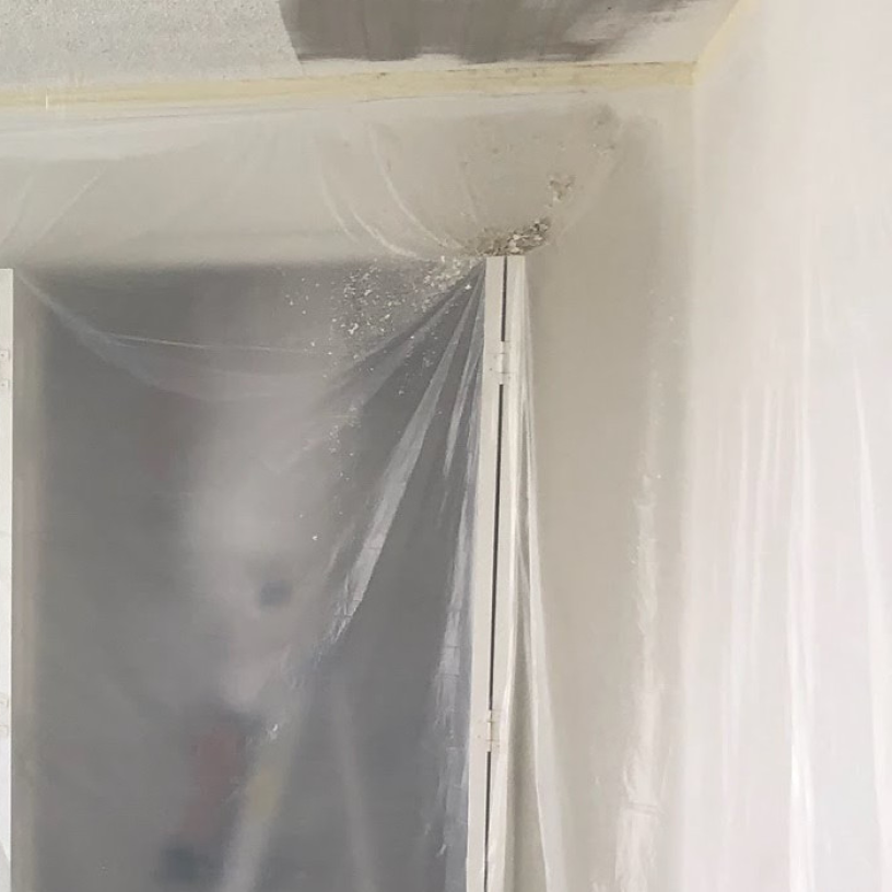 Visqueen | Paint Tools & Supplies