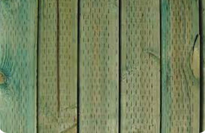 Pressure Treated Green Doug Fir | Fir/Pressure Treated