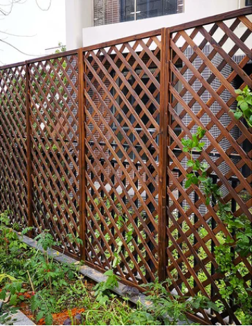 Lattice | Fencing